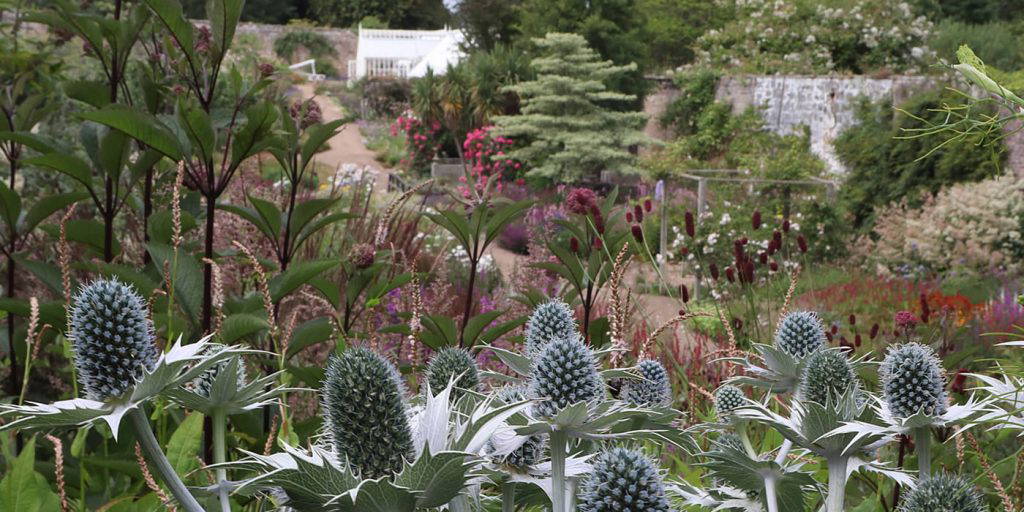 Gardens | Cambo Gardens