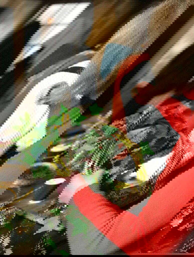 willow workshop | Cambo Gardens